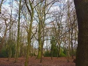 The Naturalists' Notebook | The blog of the Merseyside Naturalists ...