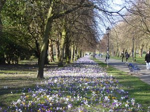 The Naturalists' Notebook | The blog of the Merseyside Naturalists ...