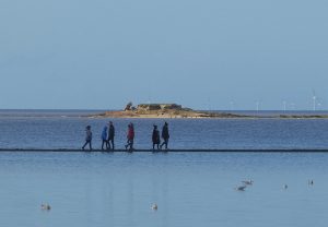 The Naturalists' Notebook | The blog of the Merseyside Naturalists ...